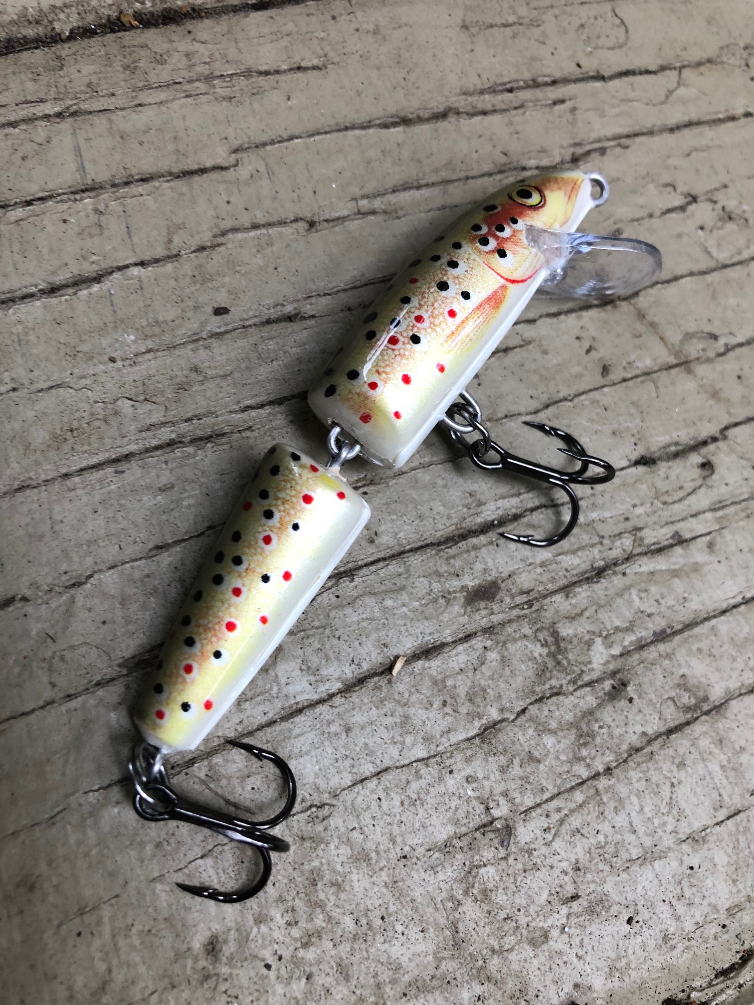 Rapala Lures: 4 Awesome Reasons Why You Need To Fish Them
