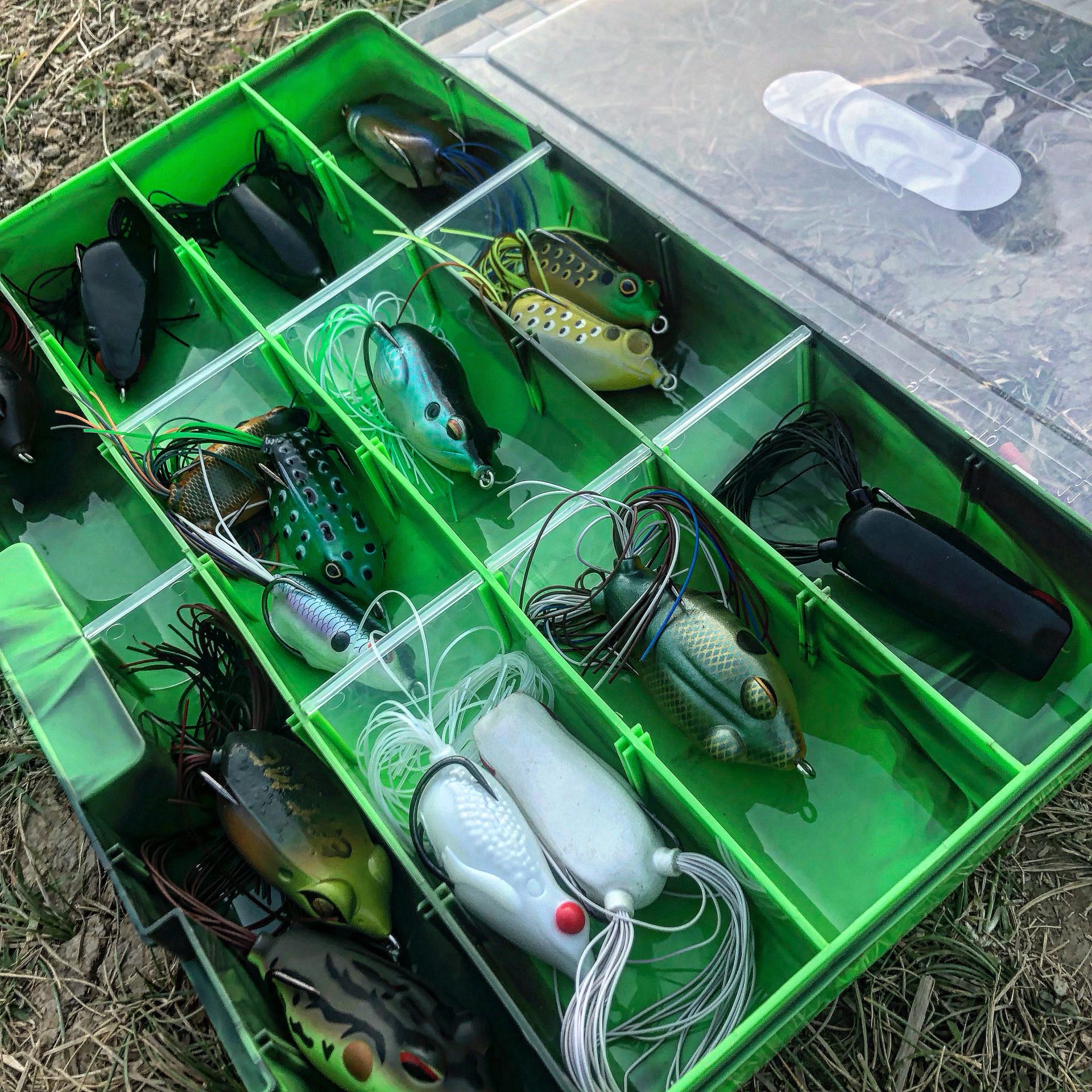 The Ultimate Guide to Frog Fishing: Techniques and Tips For Success ...